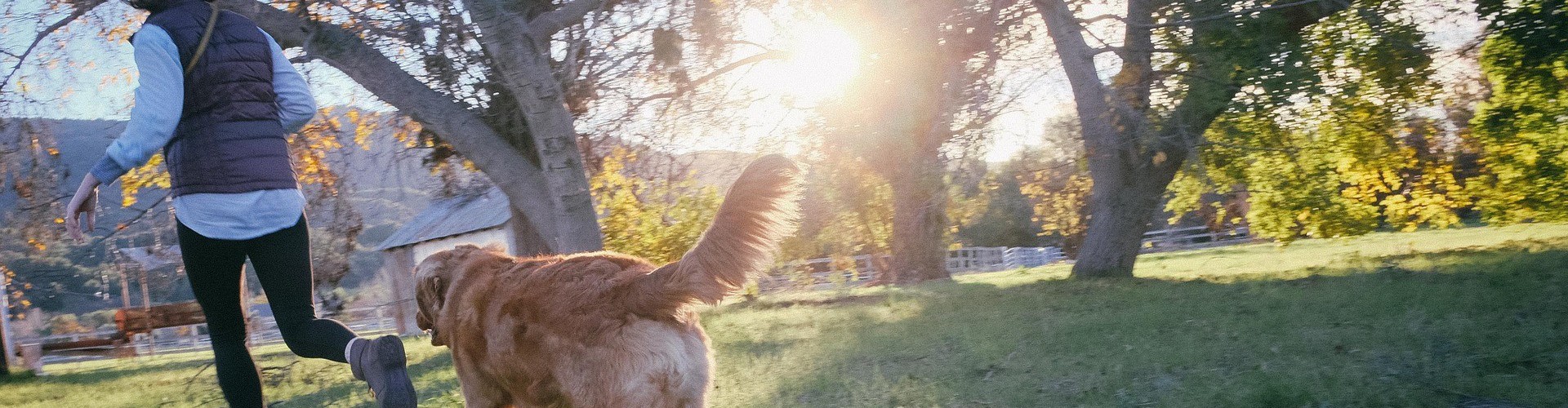 Northpointe Behavioral Health Systems – 24 Hour Crisis Hotline – (800 ...